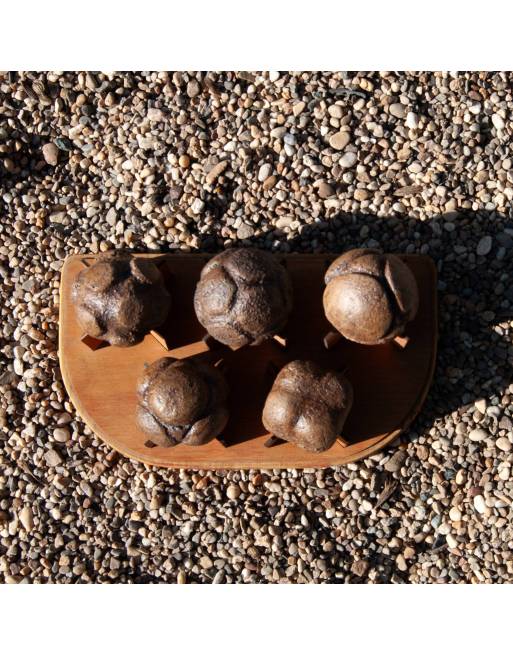 Petrosphere Replicas (Set of 5).